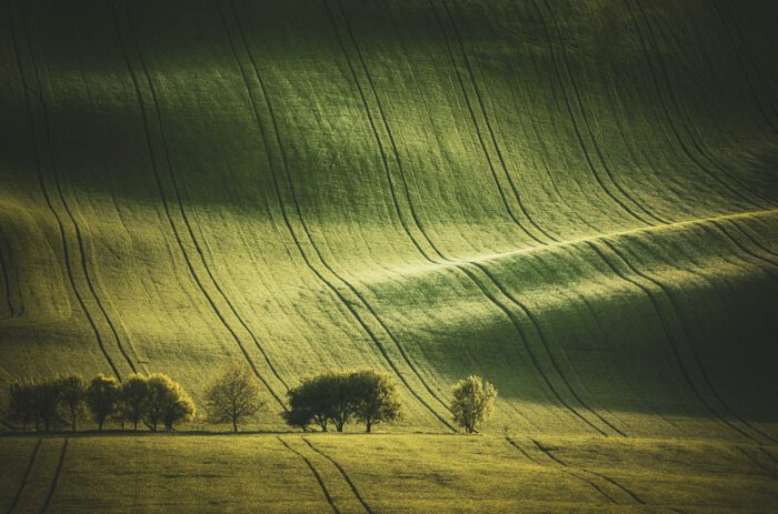 Inigo delivers a profit and doubles GWP in second year | Inigo